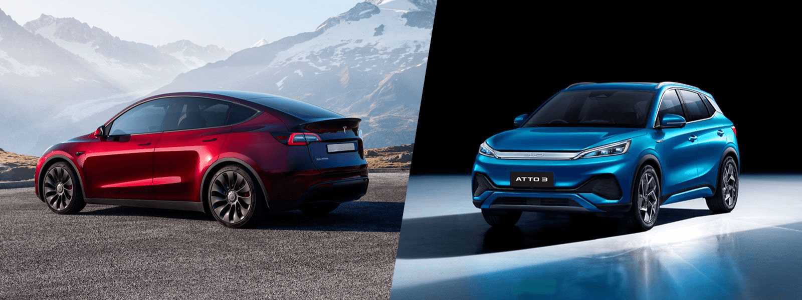 Tesla vs BYD: What's a better choice | Karmo
